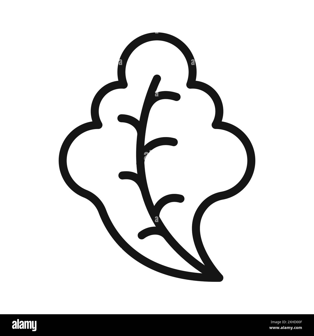 Lettuce icon Vector symbol or sign set collection in black and white ...