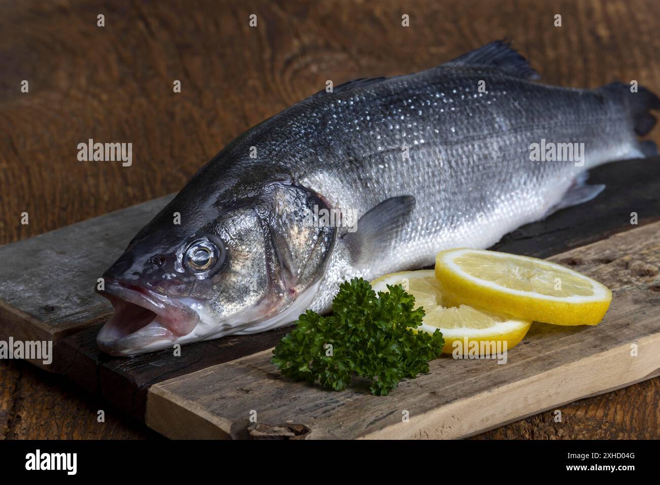 Temperate basses hi-res stock photography and images - Alamy
