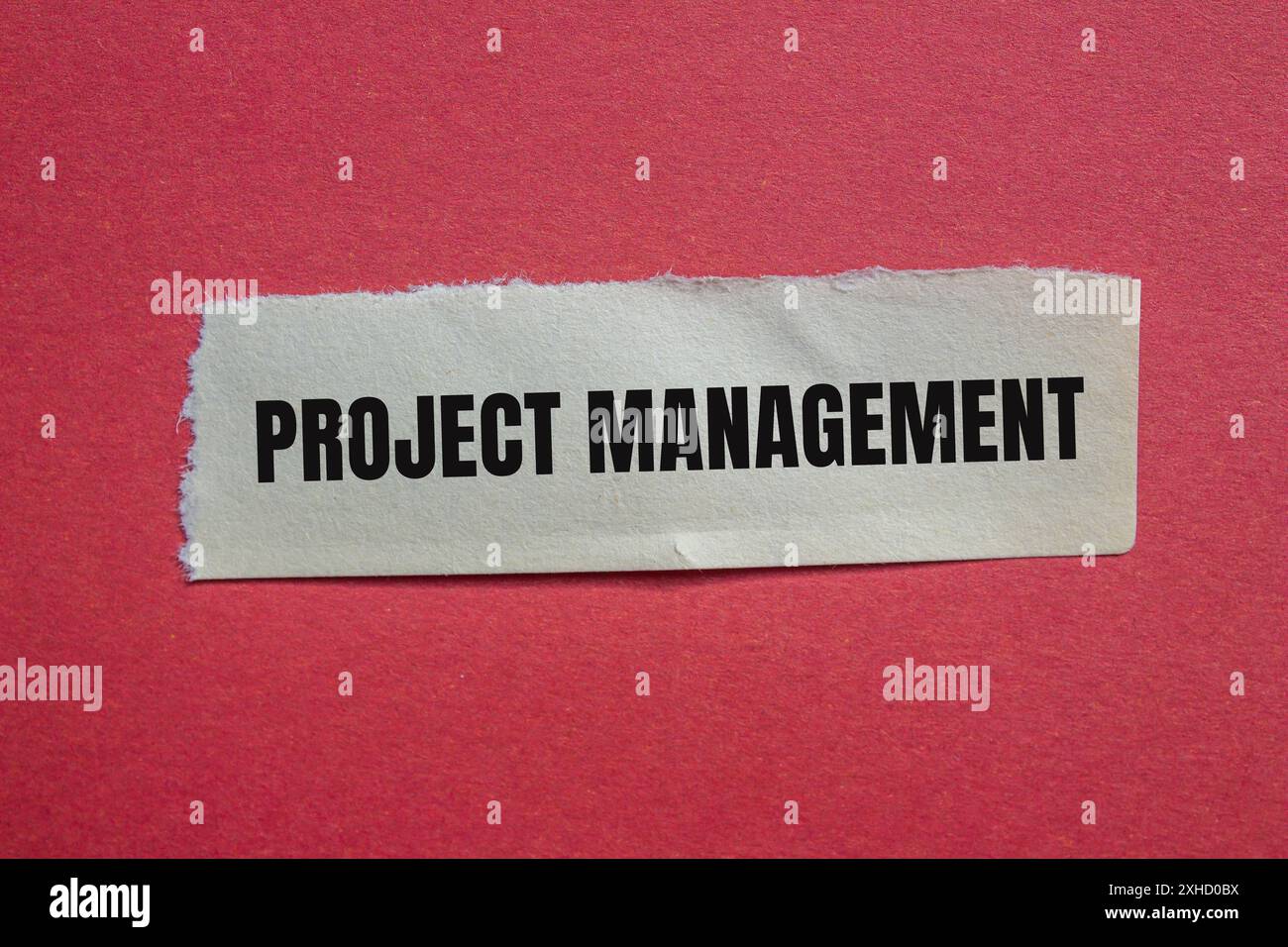 Project management message written on ripped paper with red background ...