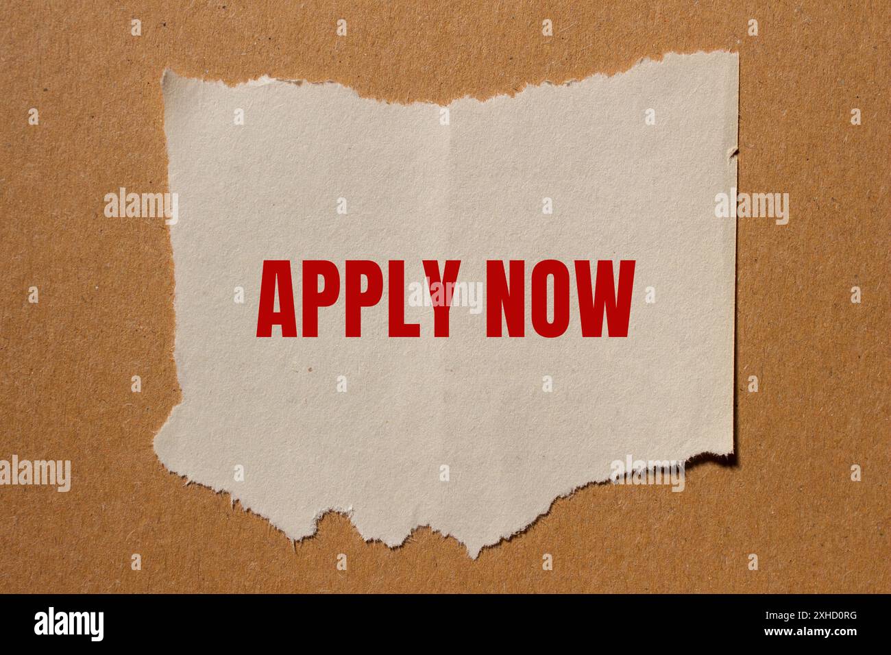 Apply now message written on ripped paper with cardboard background ...