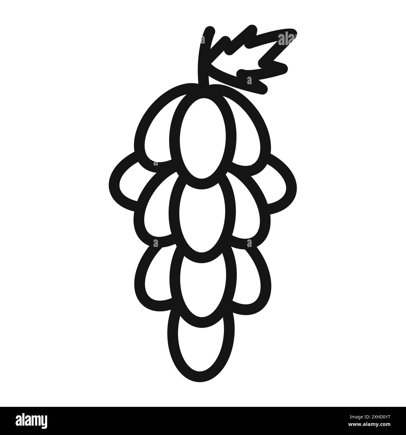 Grape icon Vector symbol or sign set collection in black and white ...