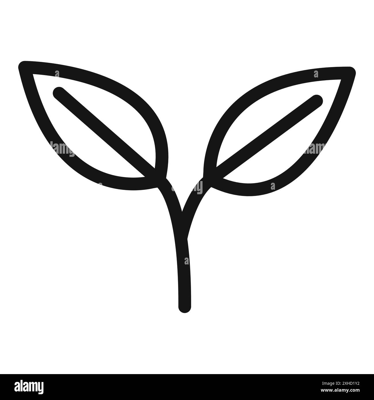 Tree veggie Black and White Stock Photos & Images - Alamy