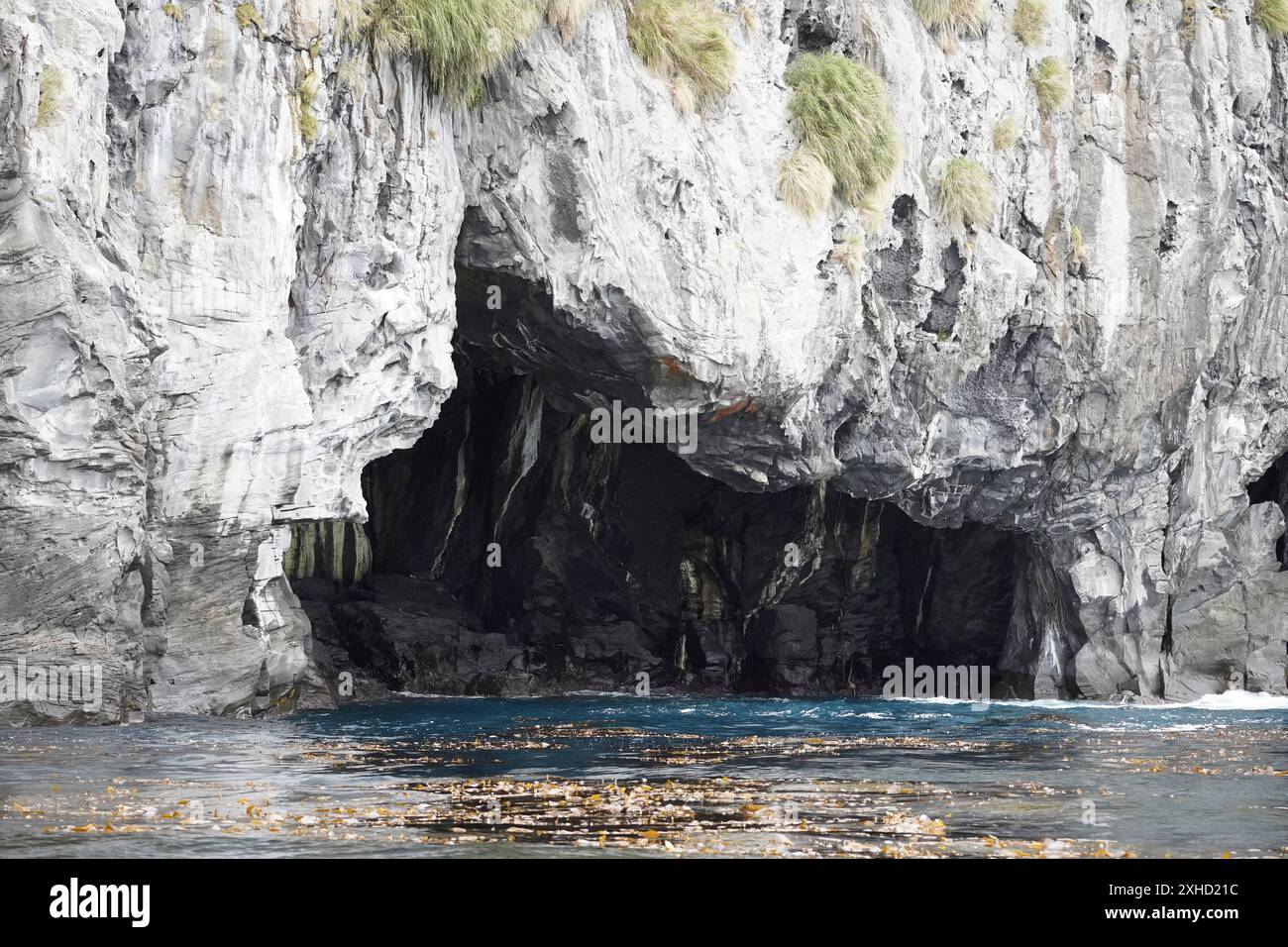 Gough Island, Tristan da Cunha Stock Photo - Alamy