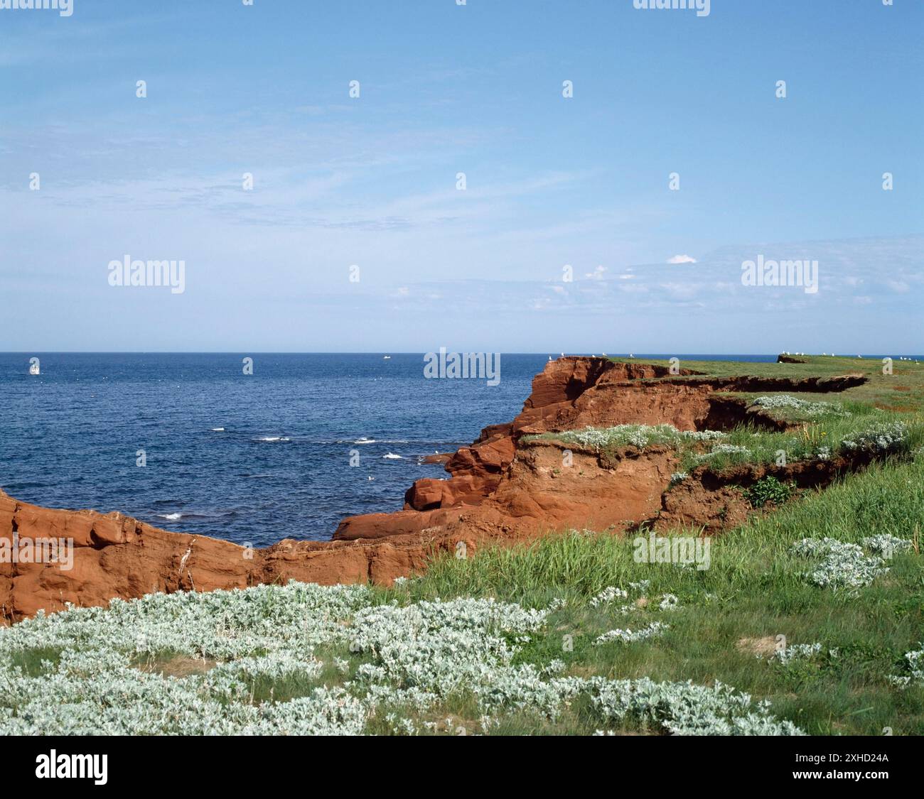 Cliffs with eroded soil in summer, L'Etang-du-Nord, Magdalen Islands ...