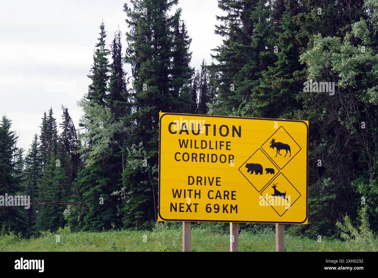 Traffic sign warning of a wildlife corridor to avoid car accidents with ...