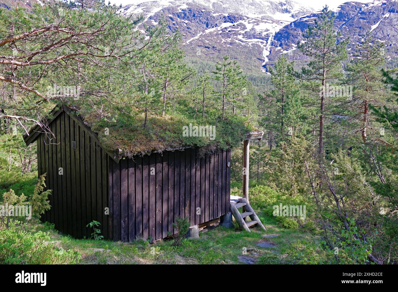 Rustic wooden hut in the middle of a green forest with mountains in the ...