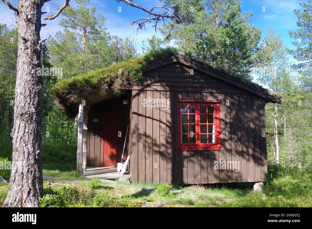 Camp ground log hi-res stock photography and images - Alamy