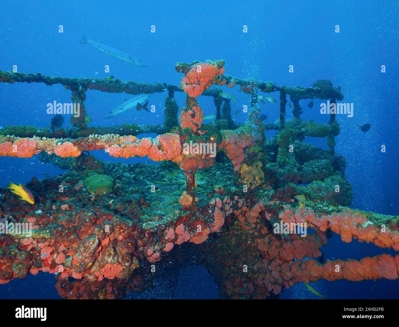 Part of a sunken ship, covered with coral, in the middle of the blue ...