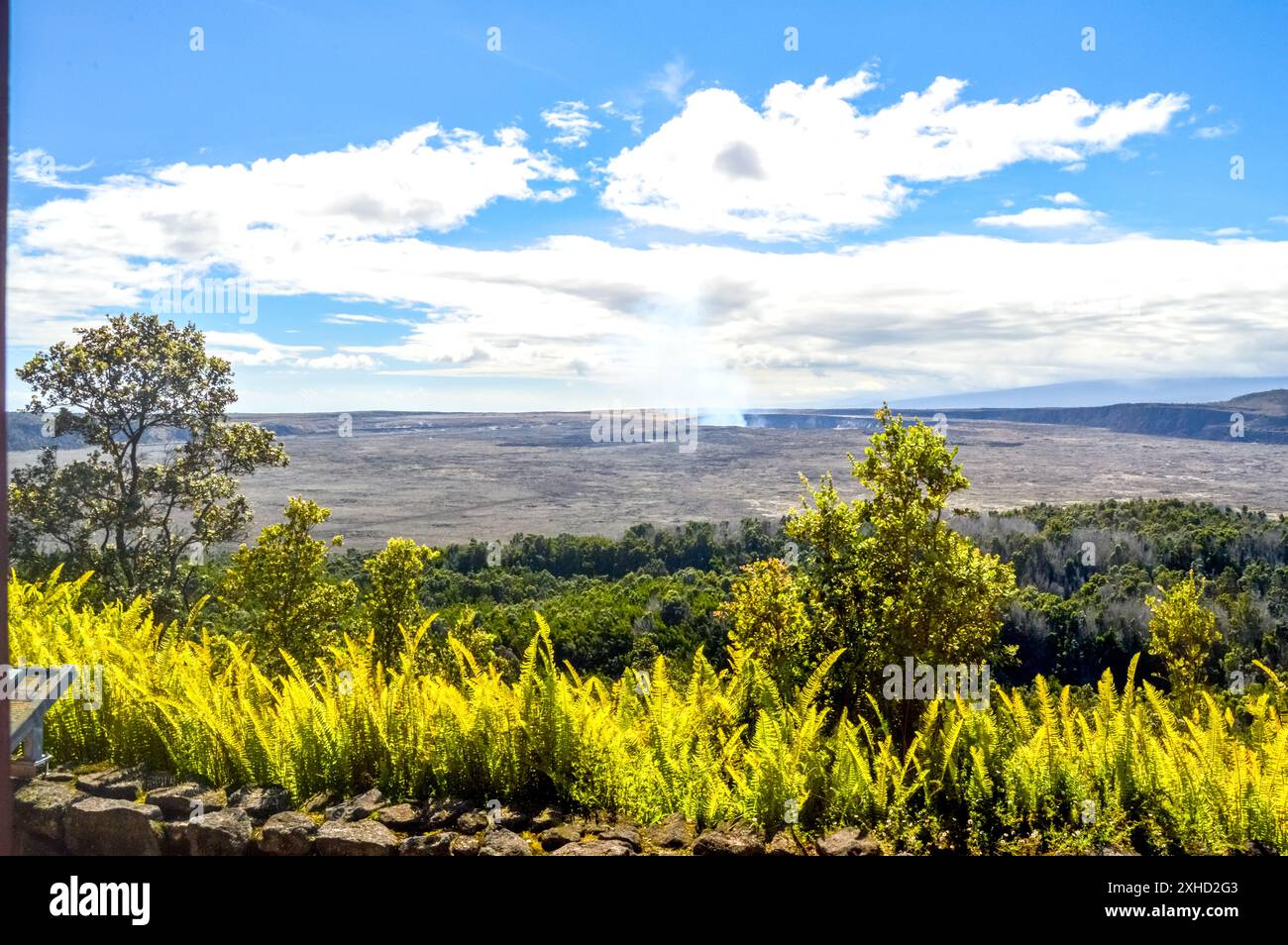 Volcano Park, Hawaii, USA Stock Photo - Alamy