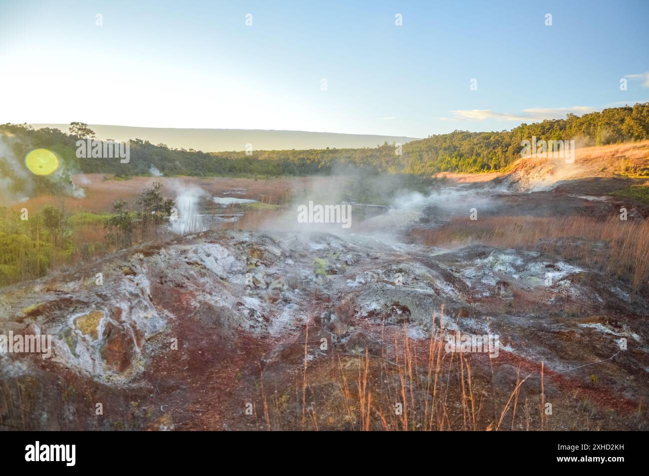 Volcano Park, Hawaii, USA Stock Photo - Alamy