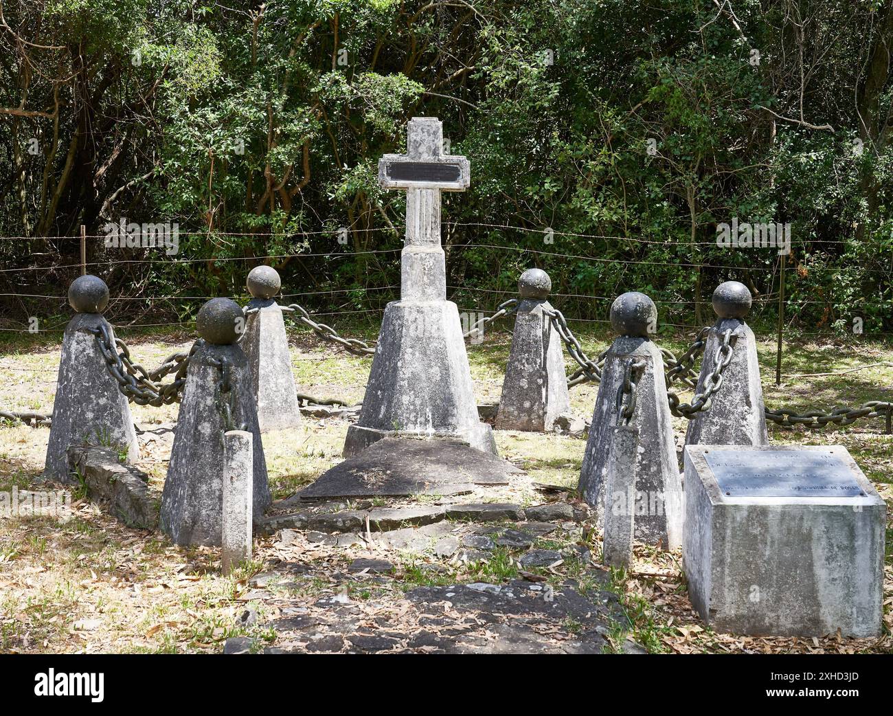 Martin trees green grass hi-res stock photography and images - Alamy