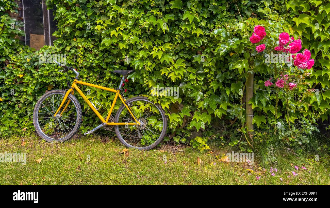 Electric bike stands road hi-res stock photography and images - Alamy