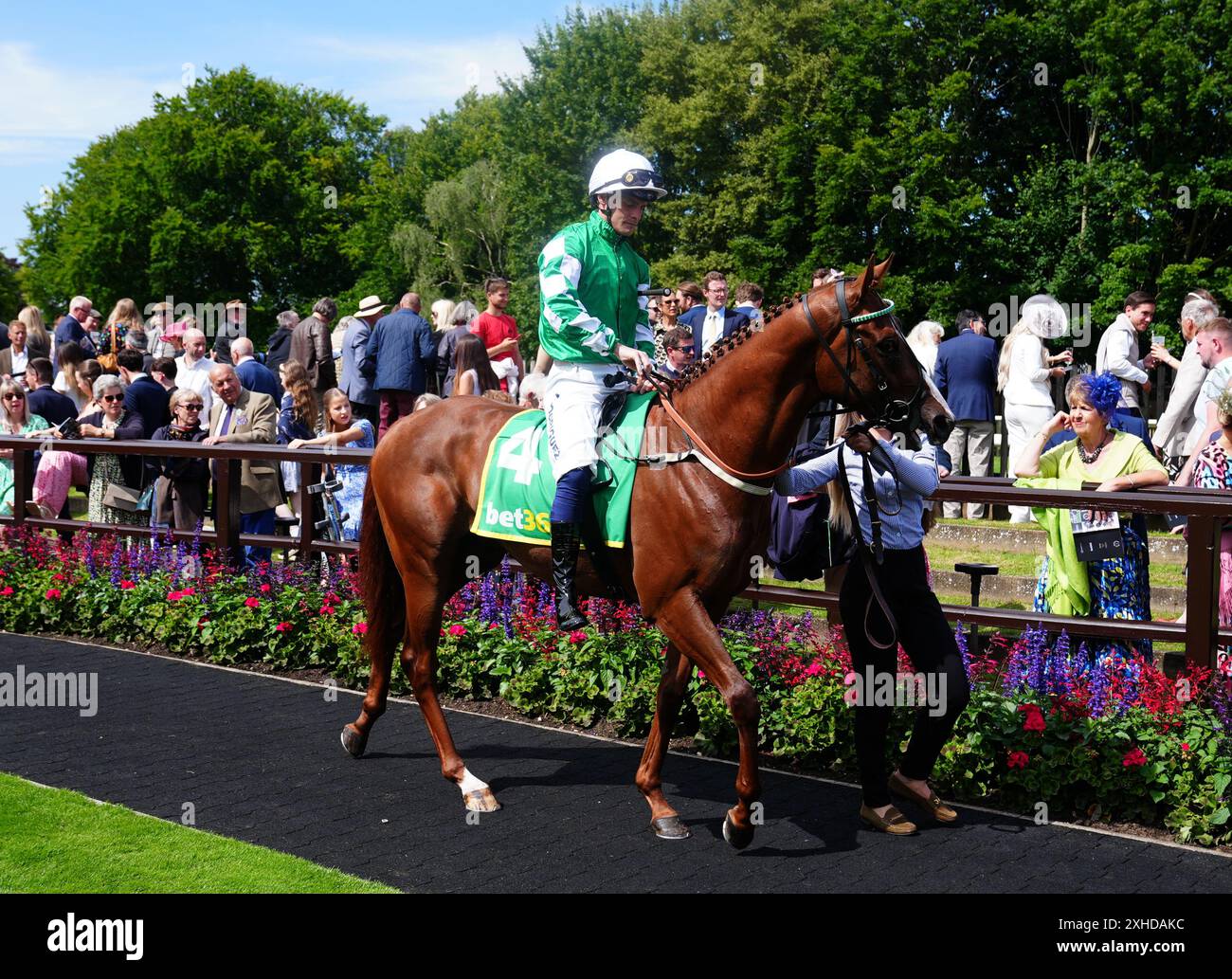 Line Of Force and jockey Callum Rodriguez in the parade ring before the ...