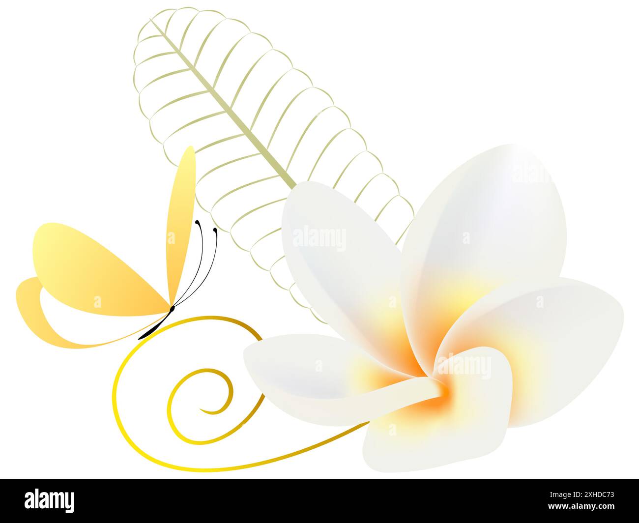 Floral background with flower frangipani (Plumeria) and butterfly Stock ...