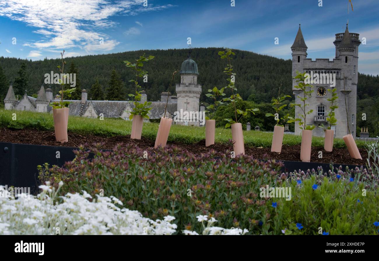Balmoral Castle viewed from the grounds,Scotland Stock Photo - Alamy