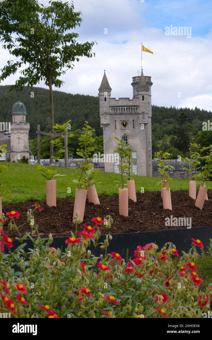 Balmoral Castle viewed from the grounds,Scotland Stock Photo - Alamy