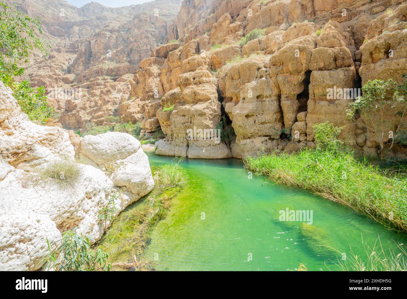 Green lake waters in the middle of Wadi Shab canyon, Tiwi, sultanate ...