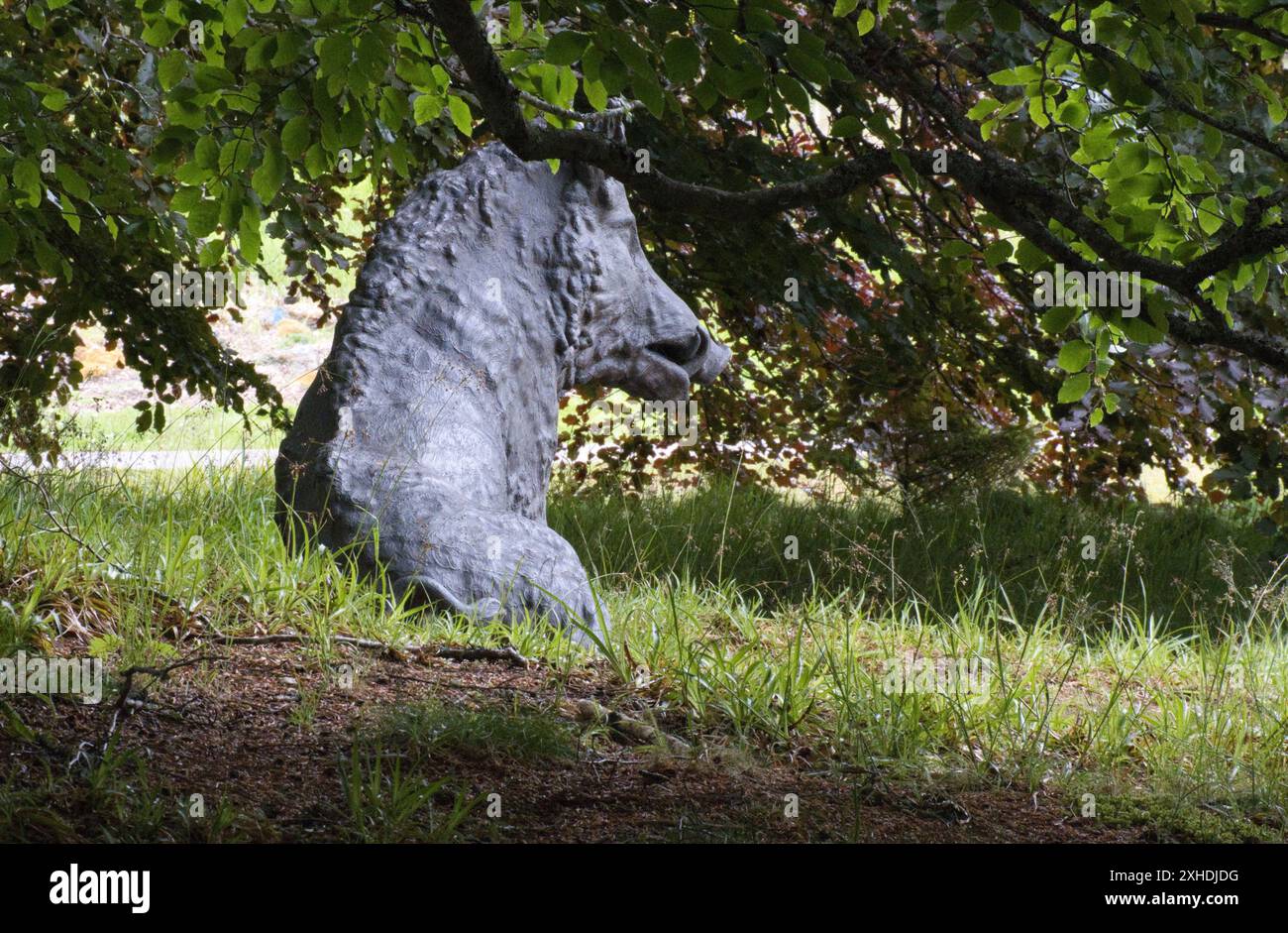 Wild boar statue in Balmoral estate,Scotland Stock Photo - Alamy