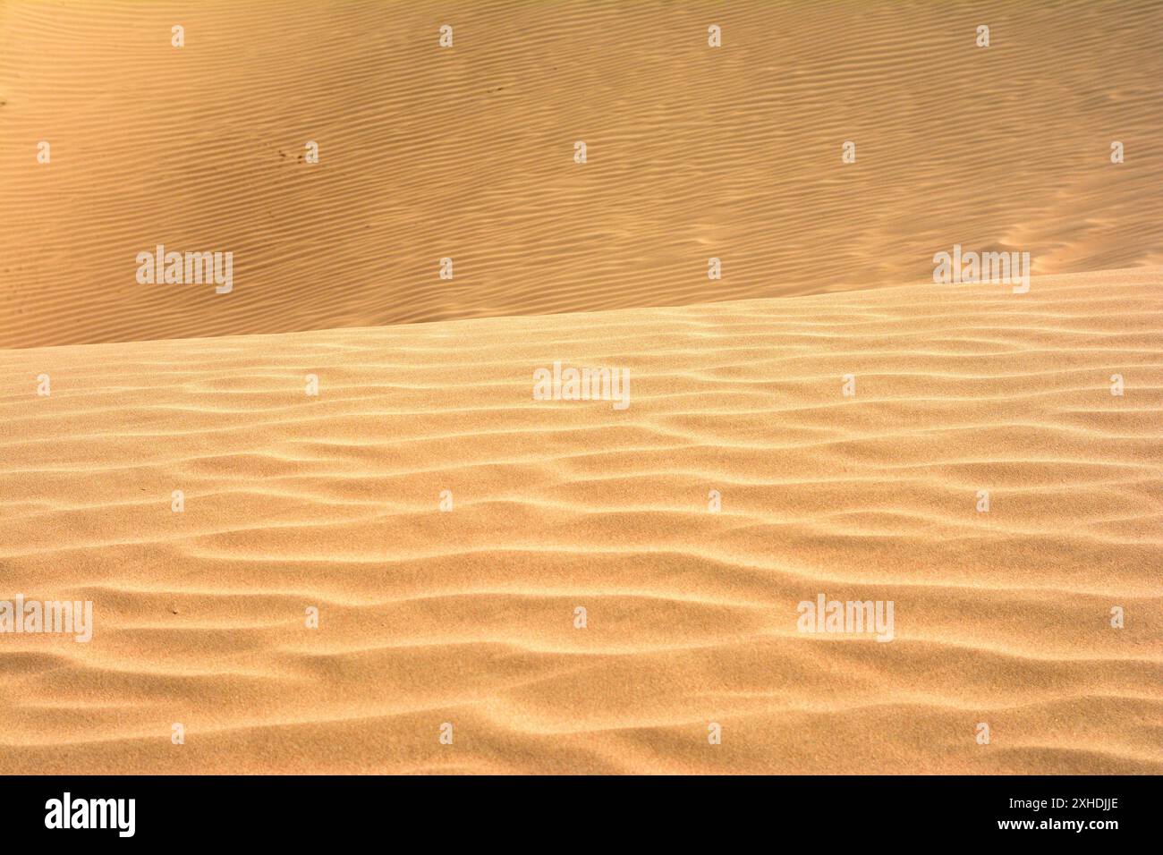 Desert Dune Texture Close Up. Sand texture. Desert surface detail Stock ...