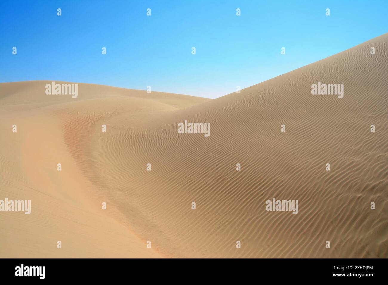 Desert landscape in the UAE, sand dunes Stock Photo - Alamy