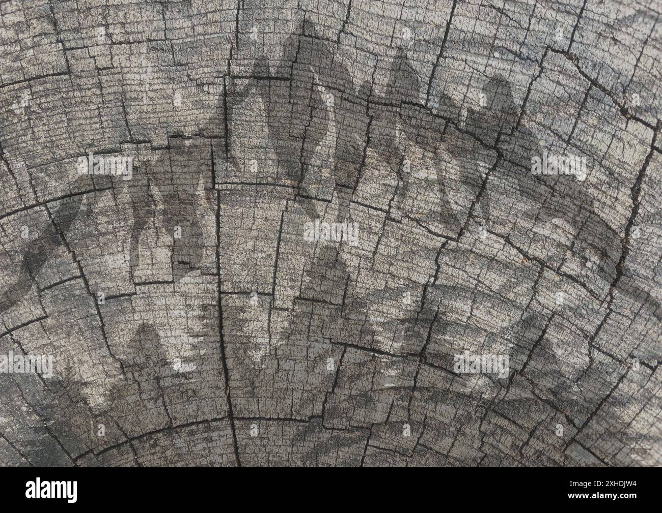 Outdoor mountains illustration hi-res stock photography and images - Alamy