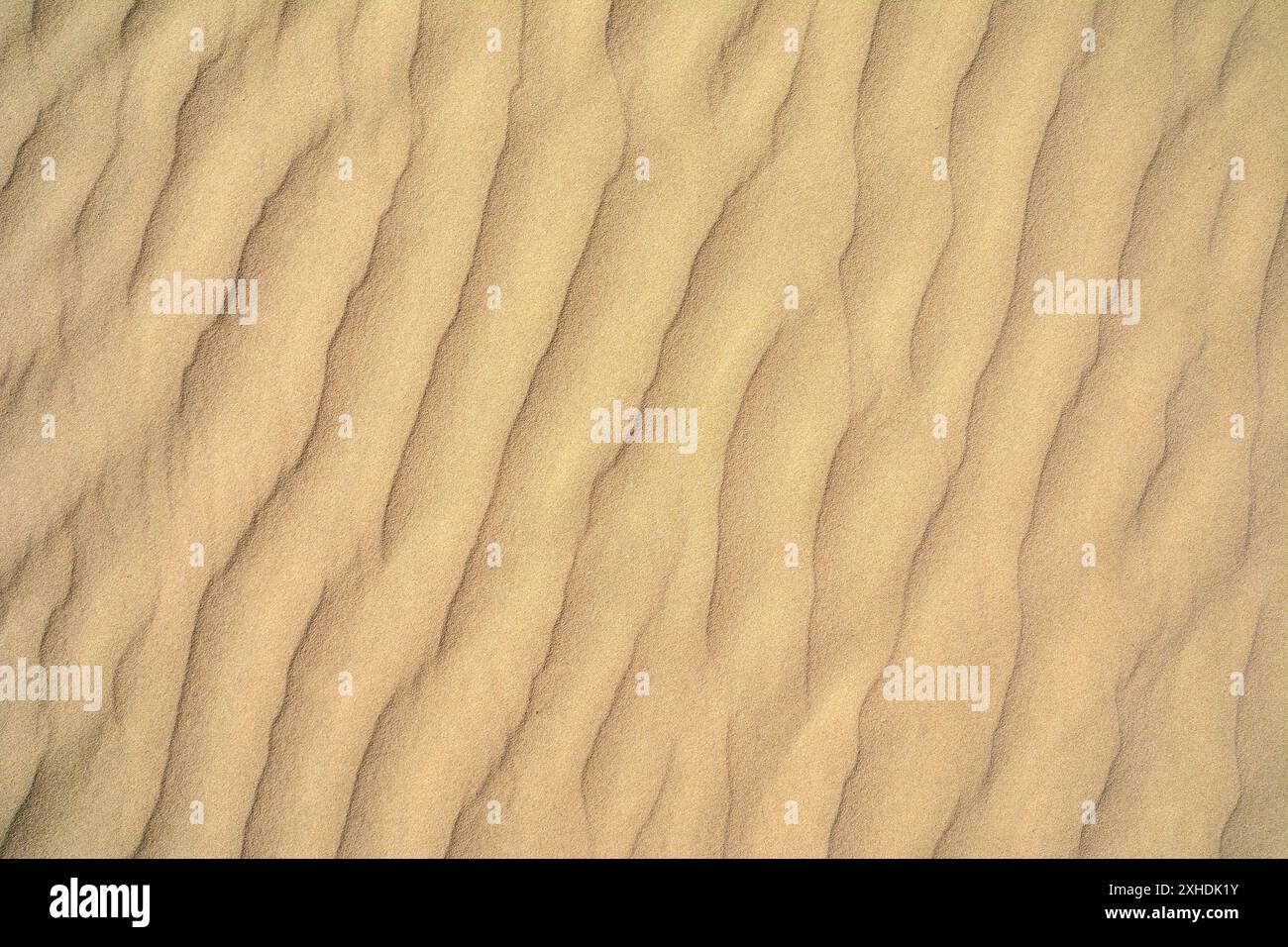 Desert Dune Texture Close Up. Sand texture. Desert surface detail Stock ...