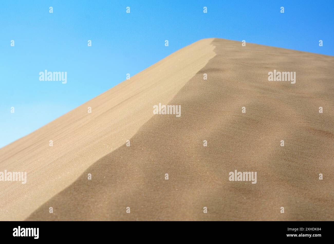 Desert landscape in the UAE, sand dunes Stock Photo - Alamy