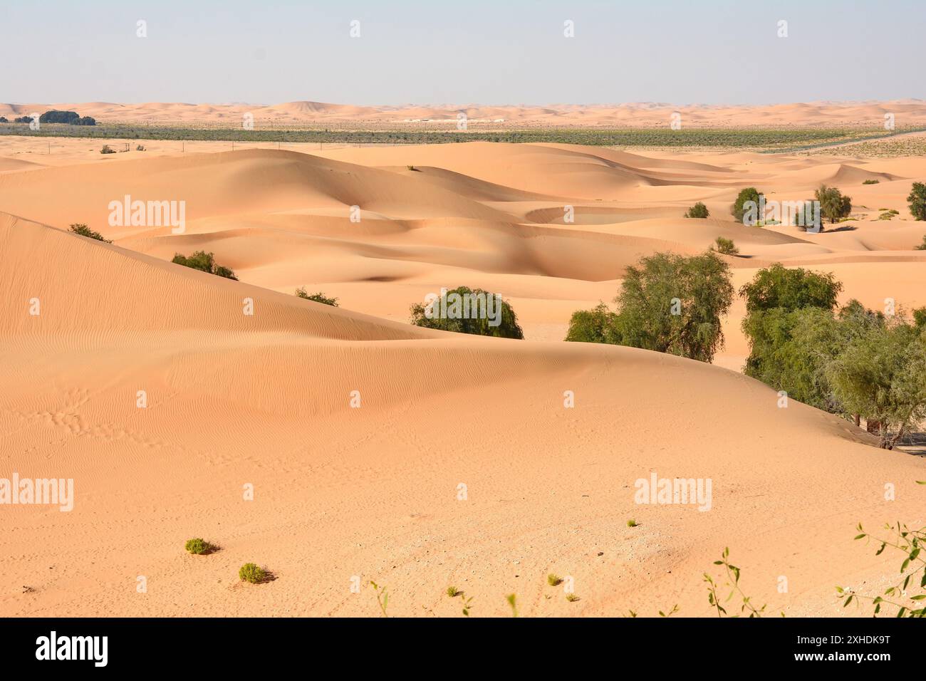 United arab emirates and western sahara hi-res stock photography and ...
