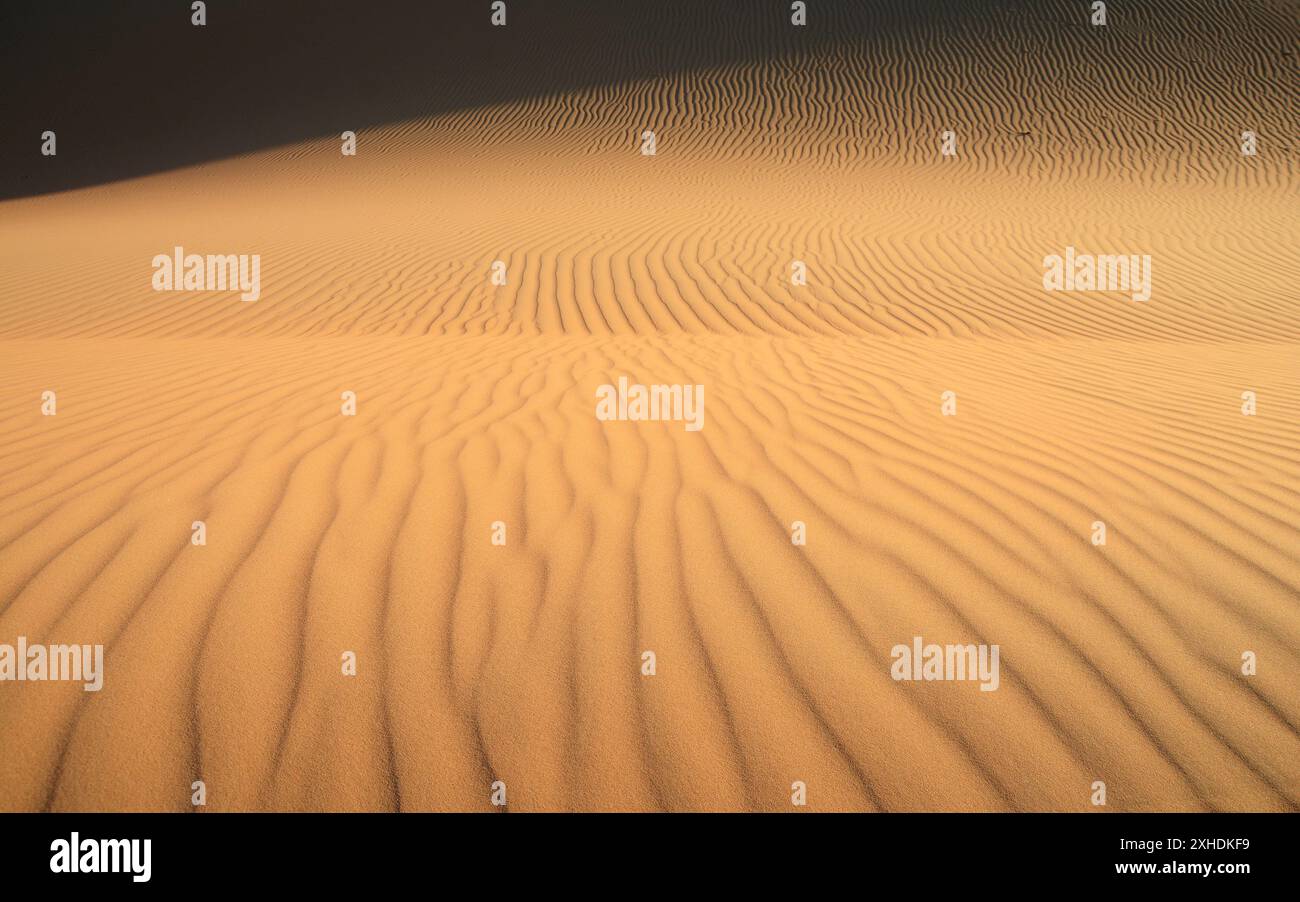 Desert Dune Texture Close Up. Sand texture. Desert surface detail Stock ...