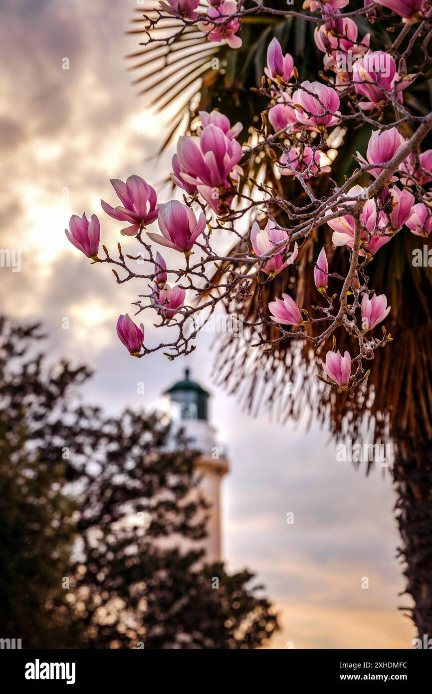 The Lighthouse of Alexandroupolis Evros Greece, spring magnolia flowers ...