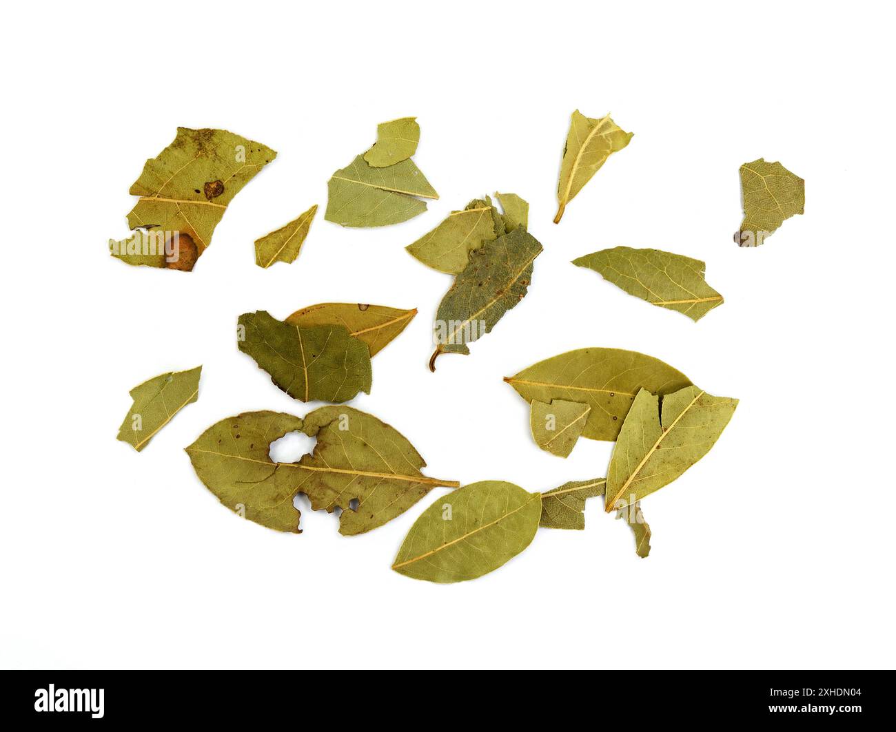 Dried Laurel spice. Isolated bay leaf. Laurel leaves on a white ...