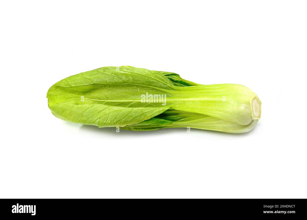 Fresh green Chinese cabbage, bok choy, pok choi or pak choi, isolated ...