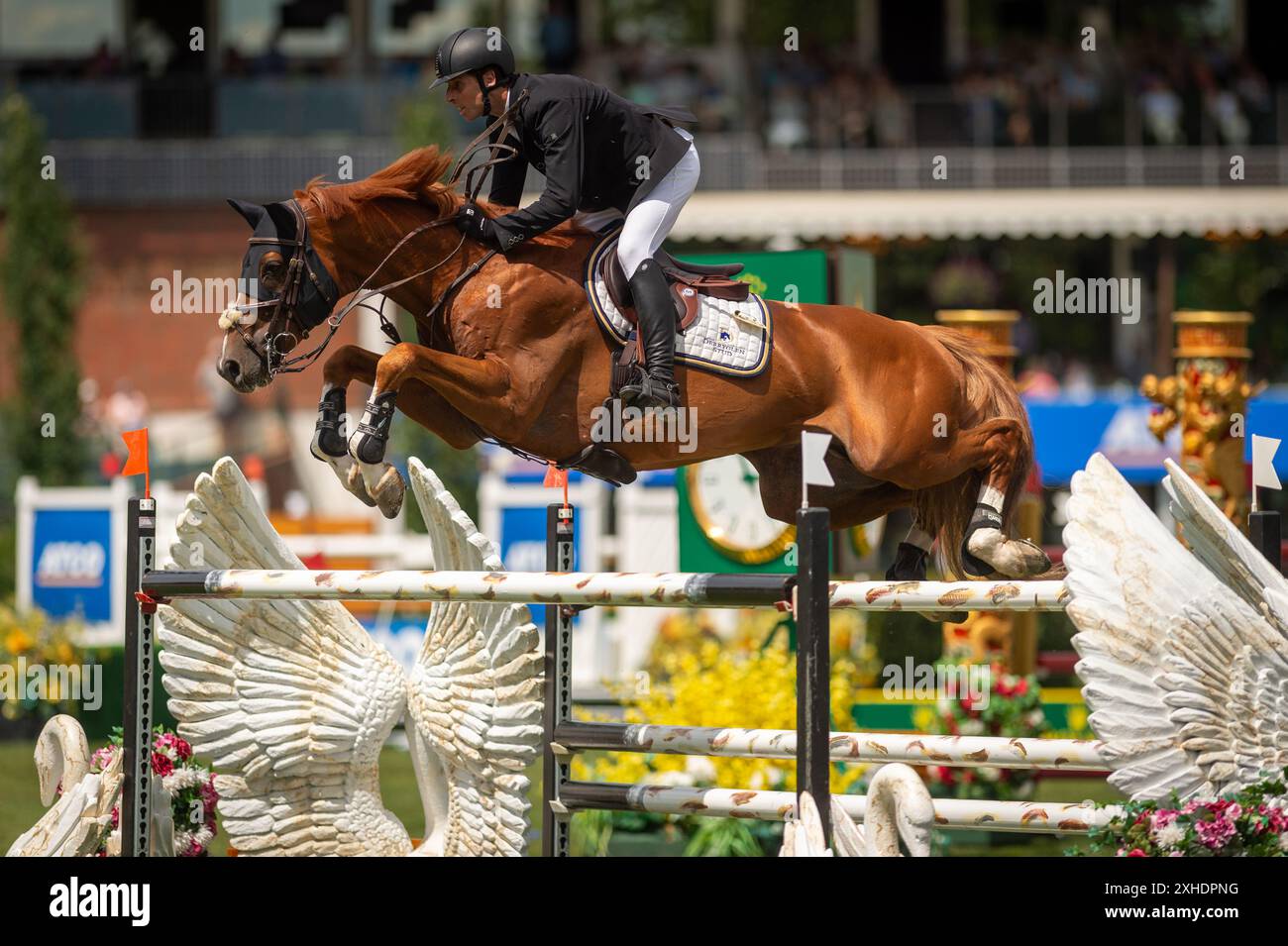 Show jumping in Spruce Meadows Stock Photo - Alamy