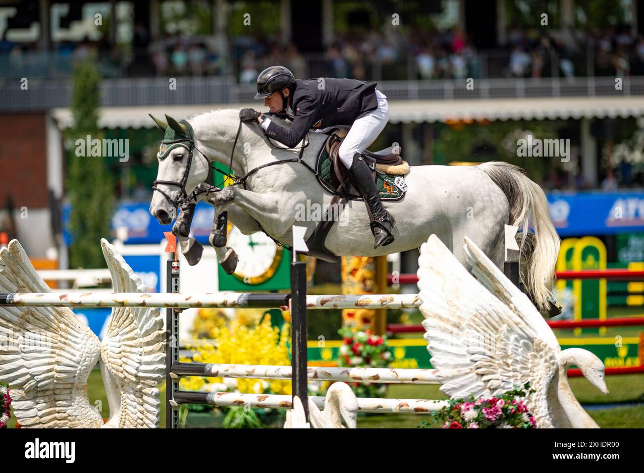 Show jumping in Spruce Meadows Stock Photo - Alamy