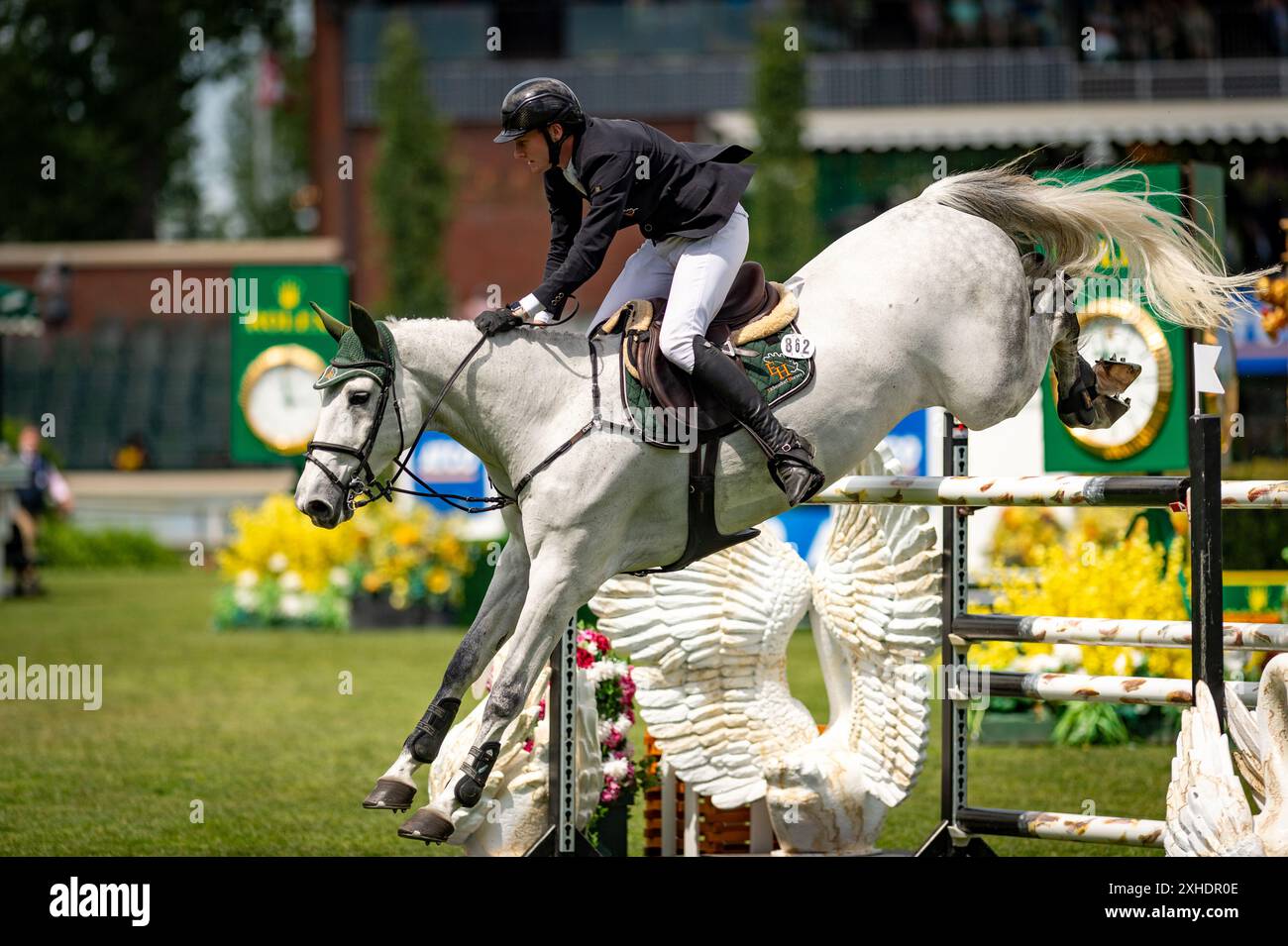 Show jumping in Spruce Meadows Stock Photo - Alamy