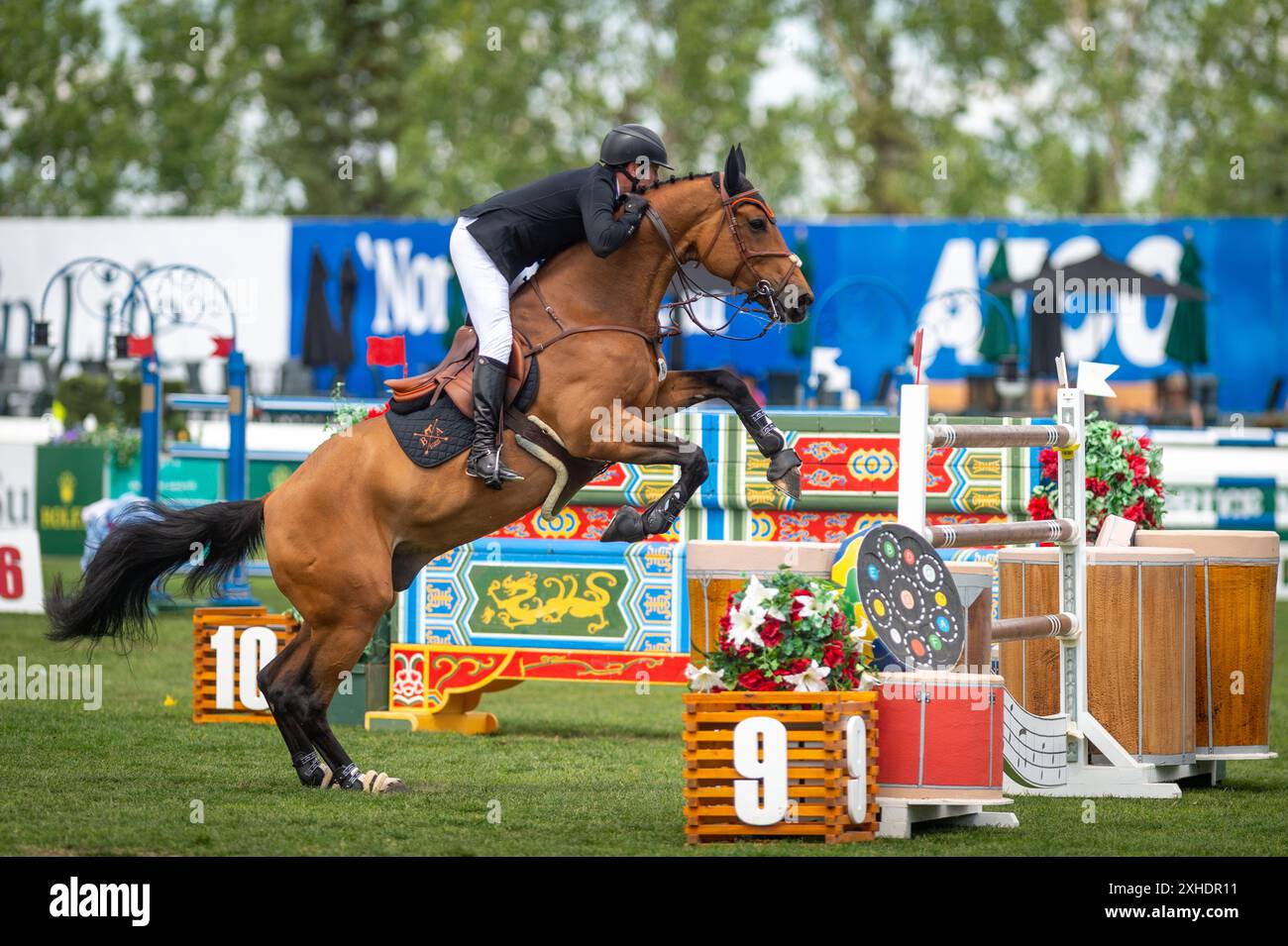 Show jumping in Spruce Meadows Stock Photo - Alamy