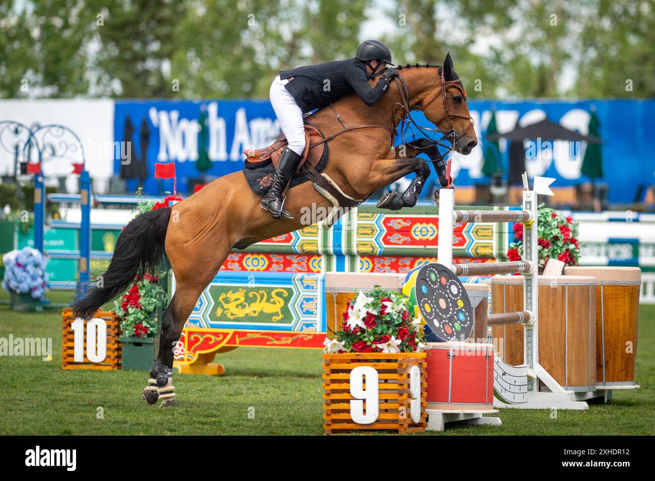 Show jumping in Spruce Meadows Stock Photo - Alamy