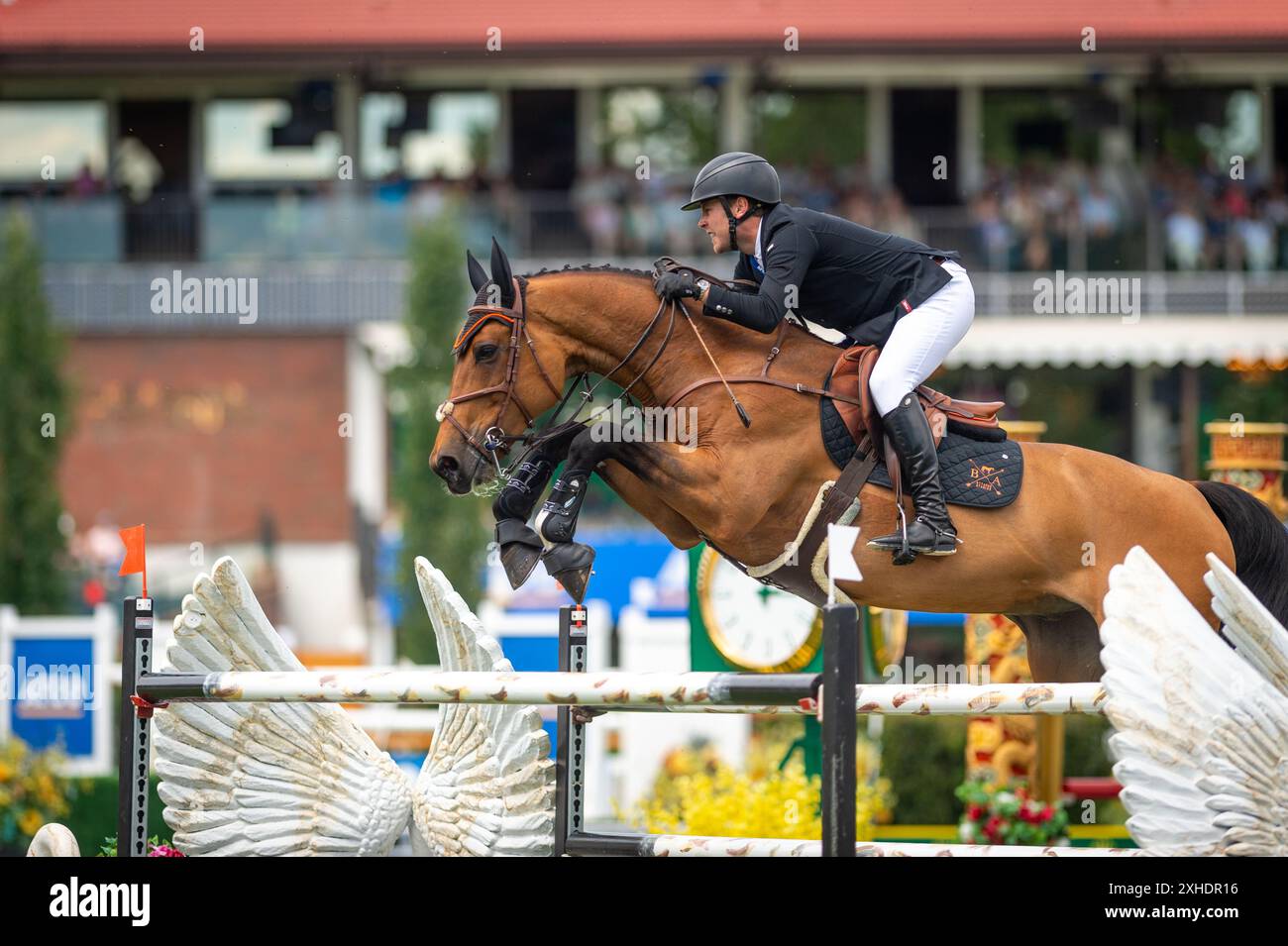 Show jumping in Spruce Meadows Stock Photo - Alamy