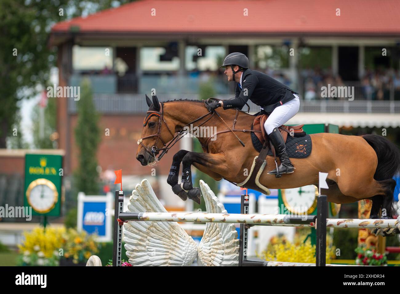 Show jumping in Spruce Meadows Stock Photo - Alamy