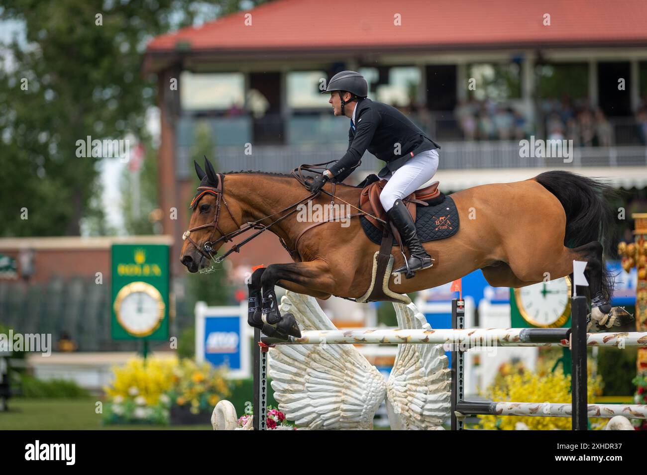 Show jumping in Spruce Meadows Stock Photo - Alamy