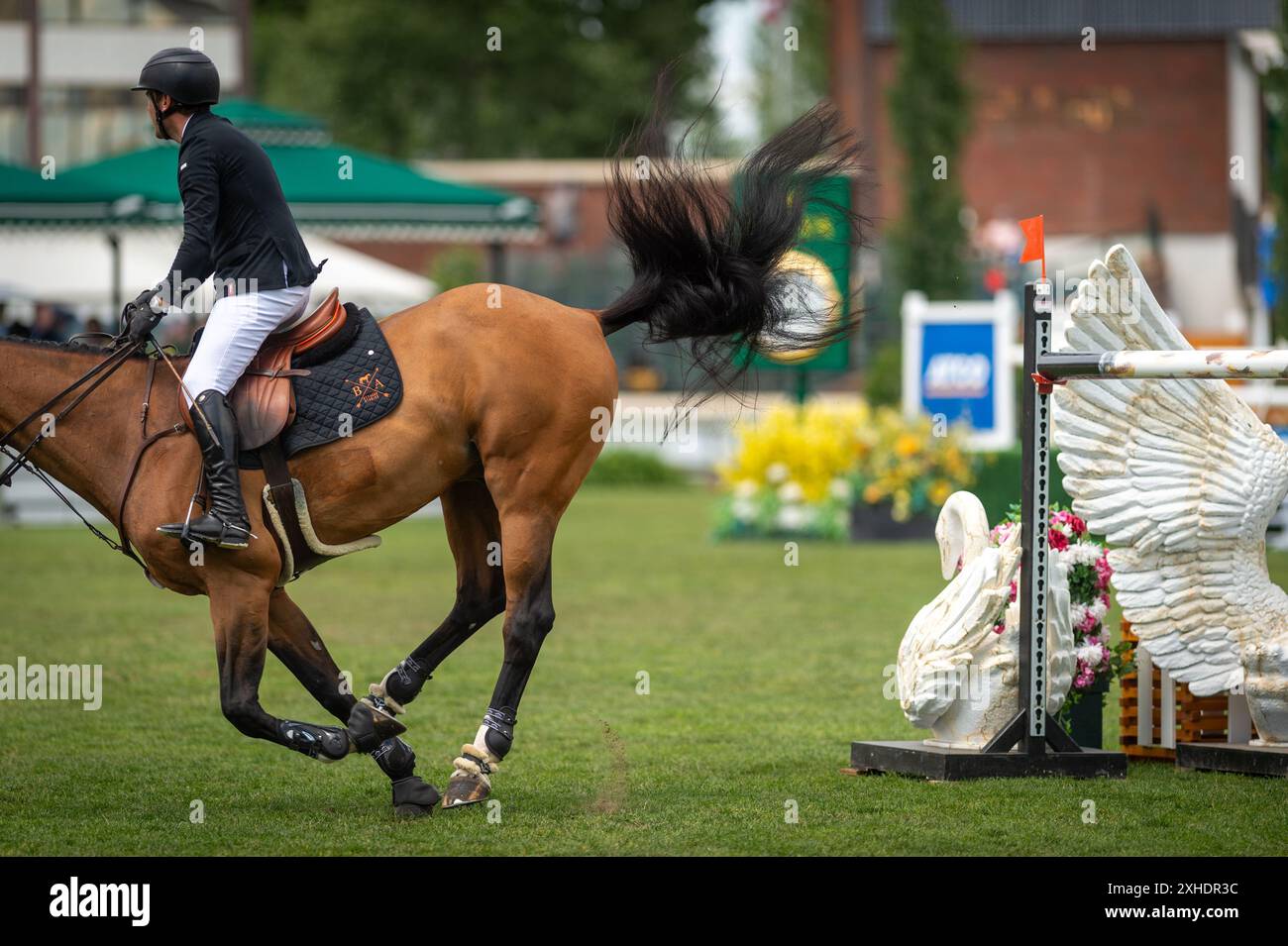 Show jumping in Spruce Meadows Stock Photo - Alamy