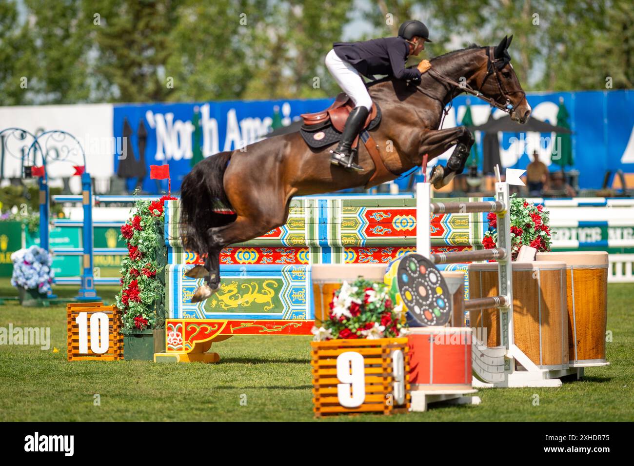 Show jumping in Spruce Meadows Stock Photo - Alamy