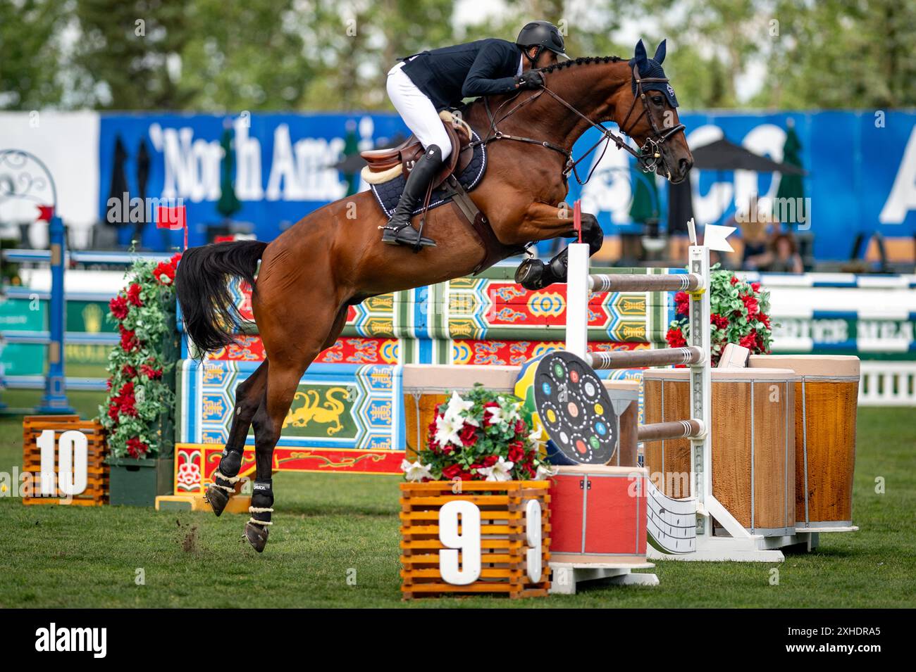 Show jumping in Spruce Meadows Stock Photo - Alamy