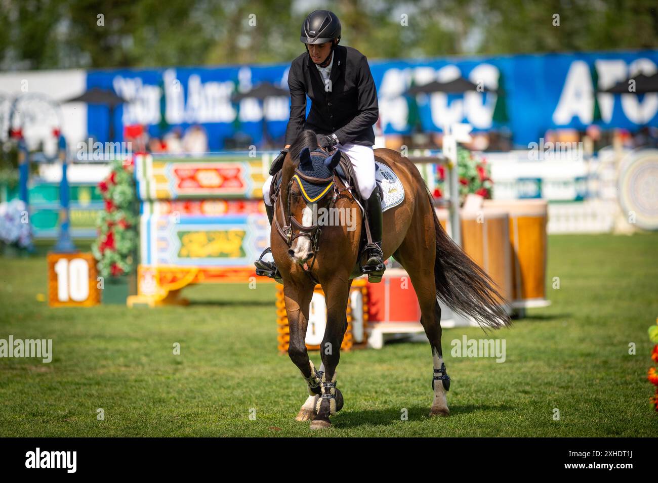 Show jumping in Spruce Meadows Stock Photo - Alamy