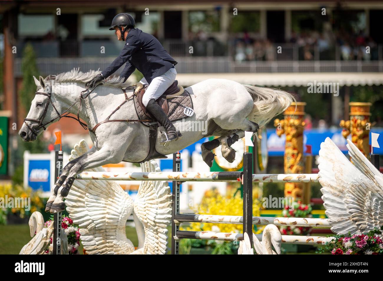 Show jumping in Spruce Meadows Stock Photo - Alamy