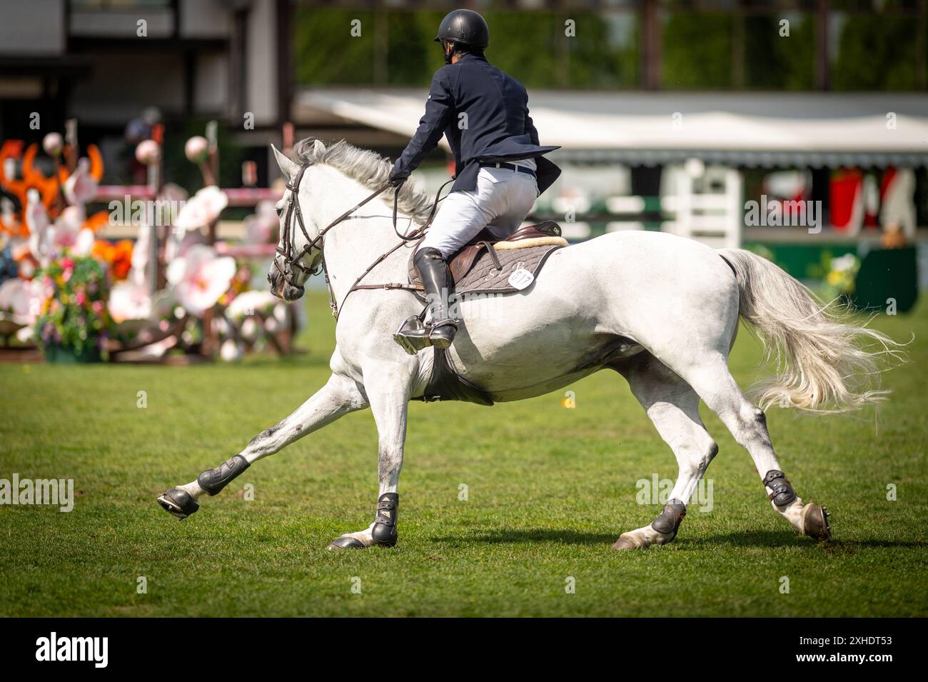 Show jumping in Spruce Meadows Stock Photo - Alamy