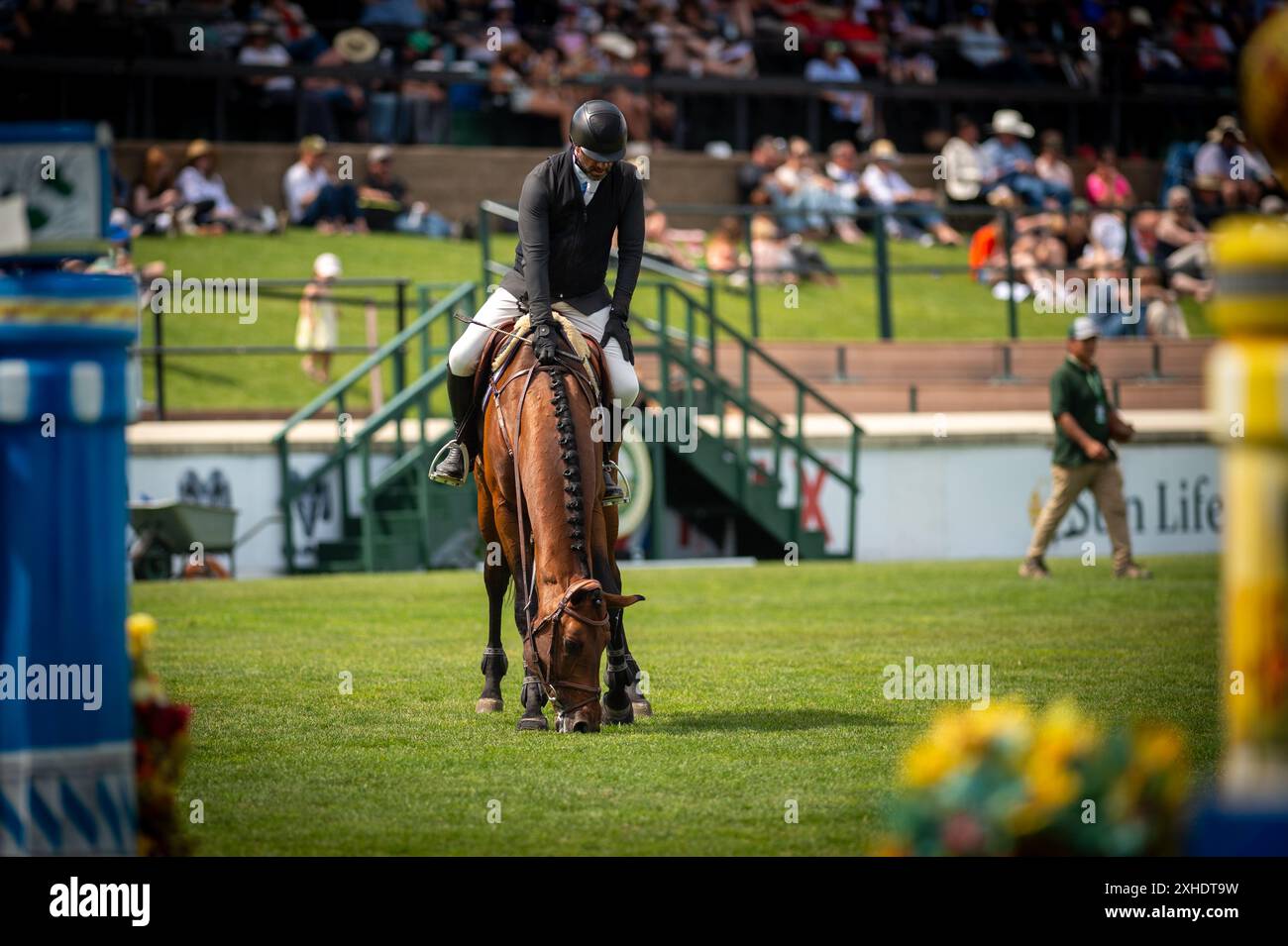 Show jumping in Spruce Meadows Stock Photo - Alamy