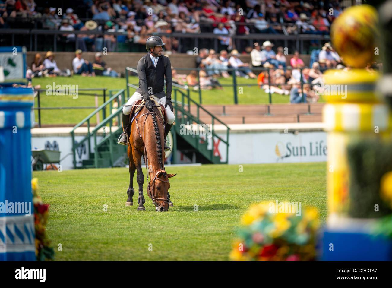 Show jumping in Spruce Meadows Stock Photo - Alamy