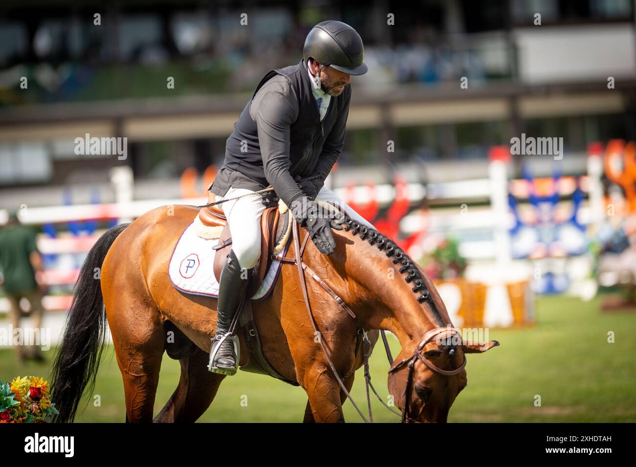 Show jumping in Spruce Meadows Stock Photo - Alamy