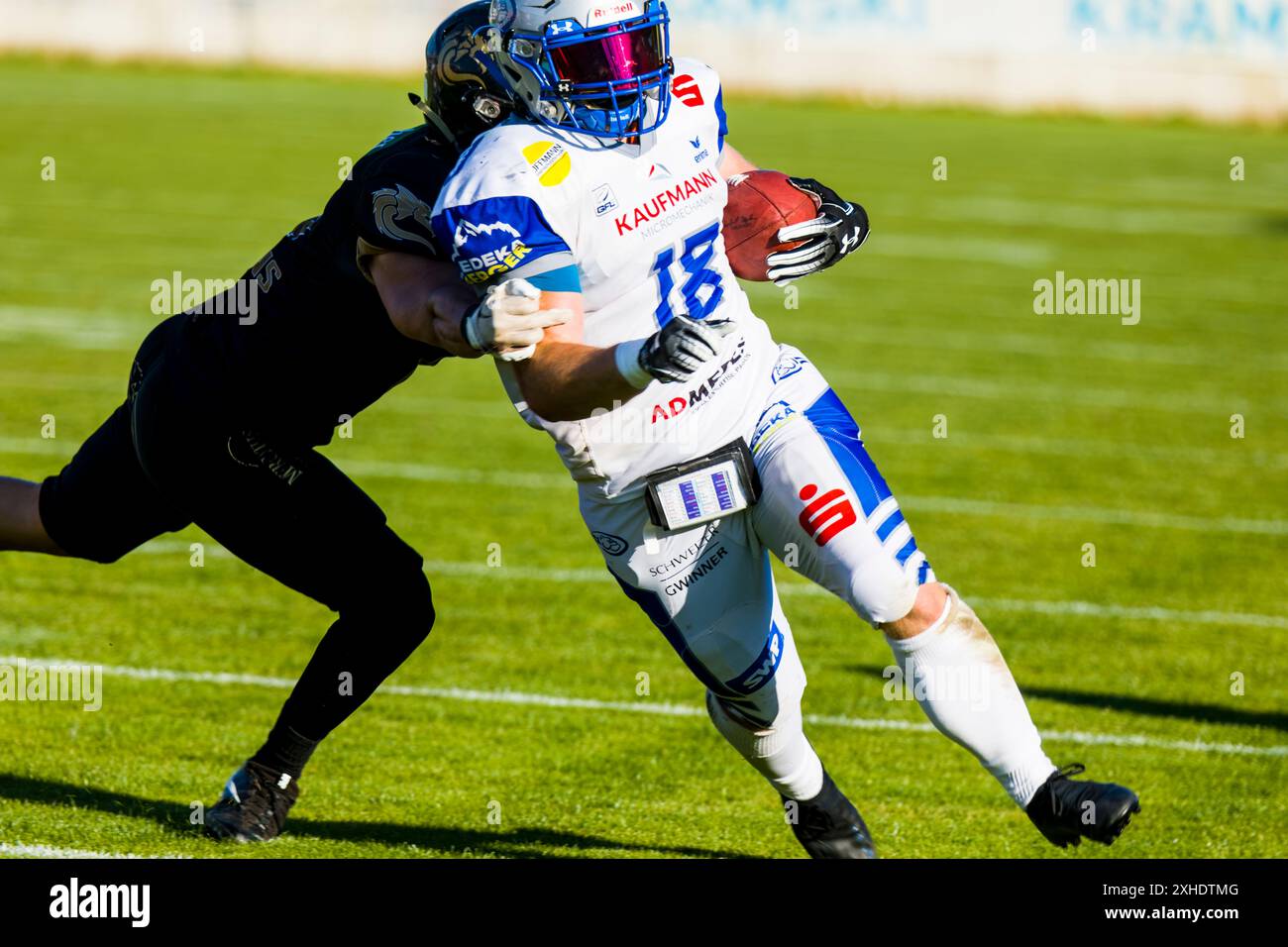 GFL 2 / German Football League, Game: Pforzheim Wilddogs - Gießen ...